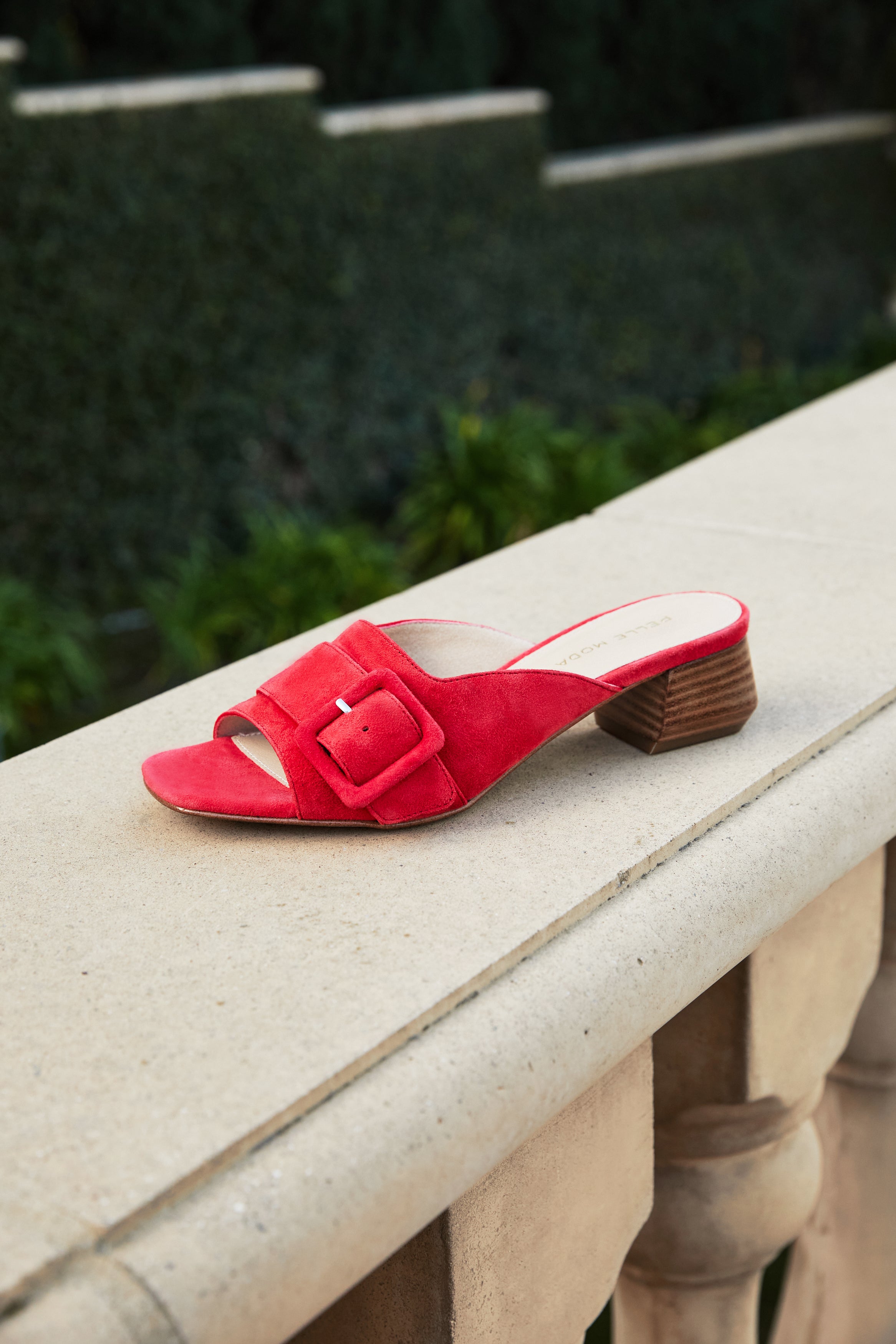 Pelle Moda - Pop of Color Shoes | Pellemoda.us